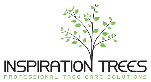 Inspiration Trees PL - Byron Bay Arborists - Call: 0435 735 770